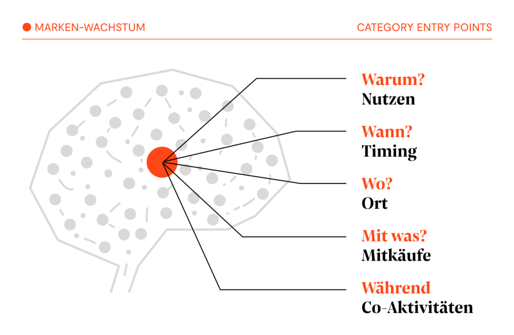 Category Entry Points: Definition, Messung & Brandmanagemnt